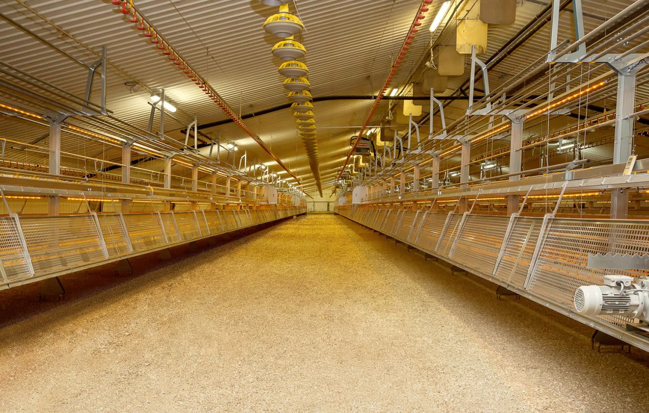 Griffiths Farms Gallery - Griffiths Family Farms